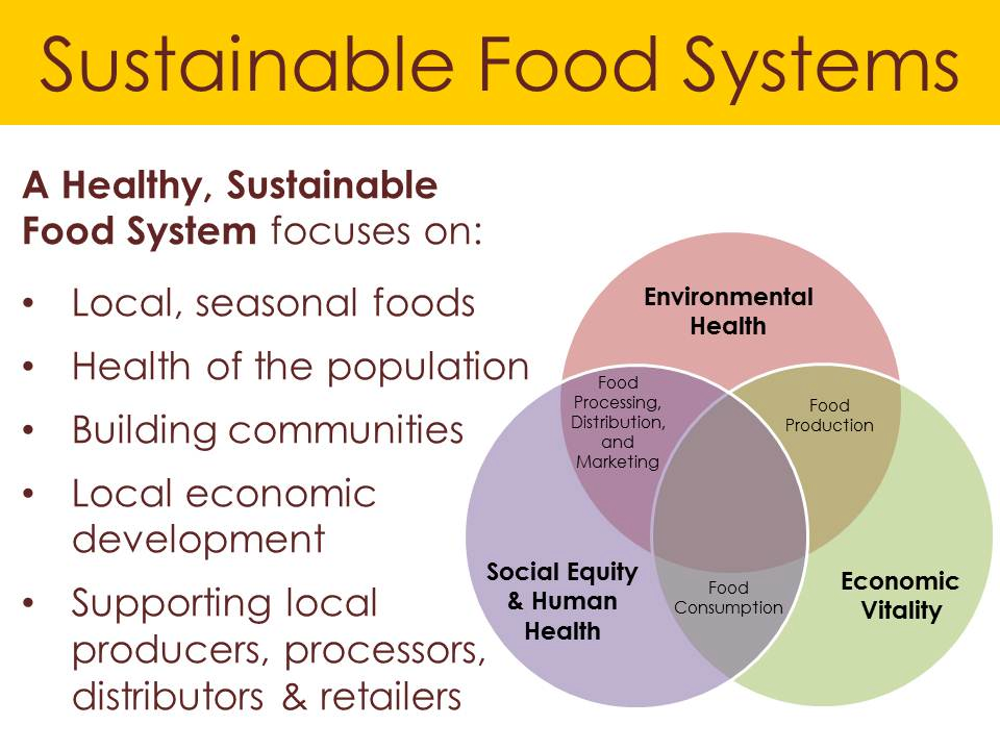 The Peaceful Planet Food Security - The Peaceful Planet
